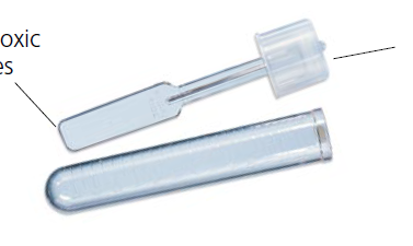 N: PADDLE PINWORM STERILE SWUBE - 296208