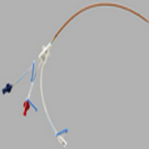 N: TRAY CATHETER VENOUS CENTRAL 4FR DOUBLE LUMEN POLYURETHANE - 384802
